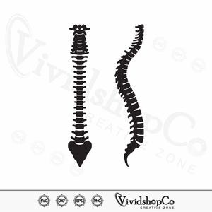 Anatomy SVG, Anatomy Spine Svg, Spine Svg, Human Anatomy Svg, Clipart, Cut Files for Silhouette ...