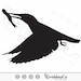 Kingfisher SVG, Bird Svg, Clipart, Cut Files for Silhouette, Files for ...