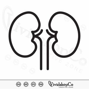 Kidney SVG, Kidney Anatomy Svg, Disease Svg, Clipart, Cut Files for ...