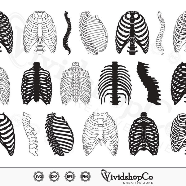 Rib Cage - Etsy