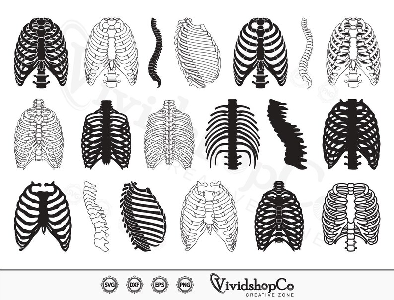 Rib Cage SVG Skeleton Rib Cage Svg Skeleton Svg Human Ribs - Etsy