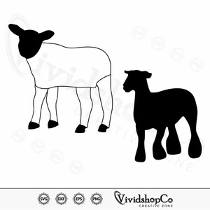 Show Lamb #2 SVG, Market Lamb Svg, Sheep Svg, Show Sheep Svg, Clipart ...