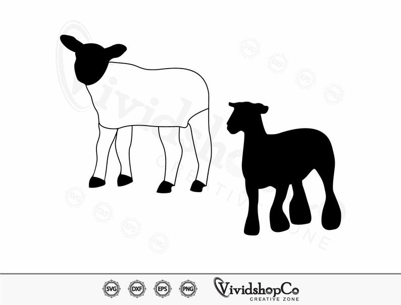 Show Lamb #2 SVG, Market Lamb Svg, Sheep Svg, Show Sheep Svg, Clipart ...