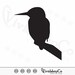 Kingfisher SVG, Bird Svg, Clipart, Cut Files for Silhouette, Files for ...