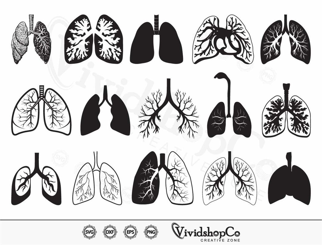 Lung SVG, Medical Image Svg, Human Lung Svg, Bronchial Svg, Clipart ...