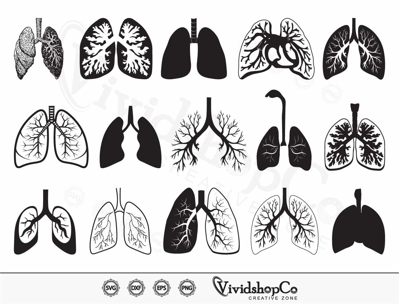 Lung SVG, Medical Image Svg, Human Lung Svg, Bronchial Svg, Clipart ...