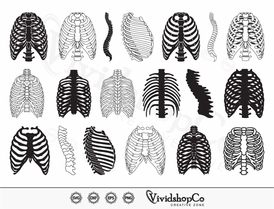 Rib Cage SVG, Skeleton Rib Cage Svg, Skeleton Svg, Human Ribs Svg ...