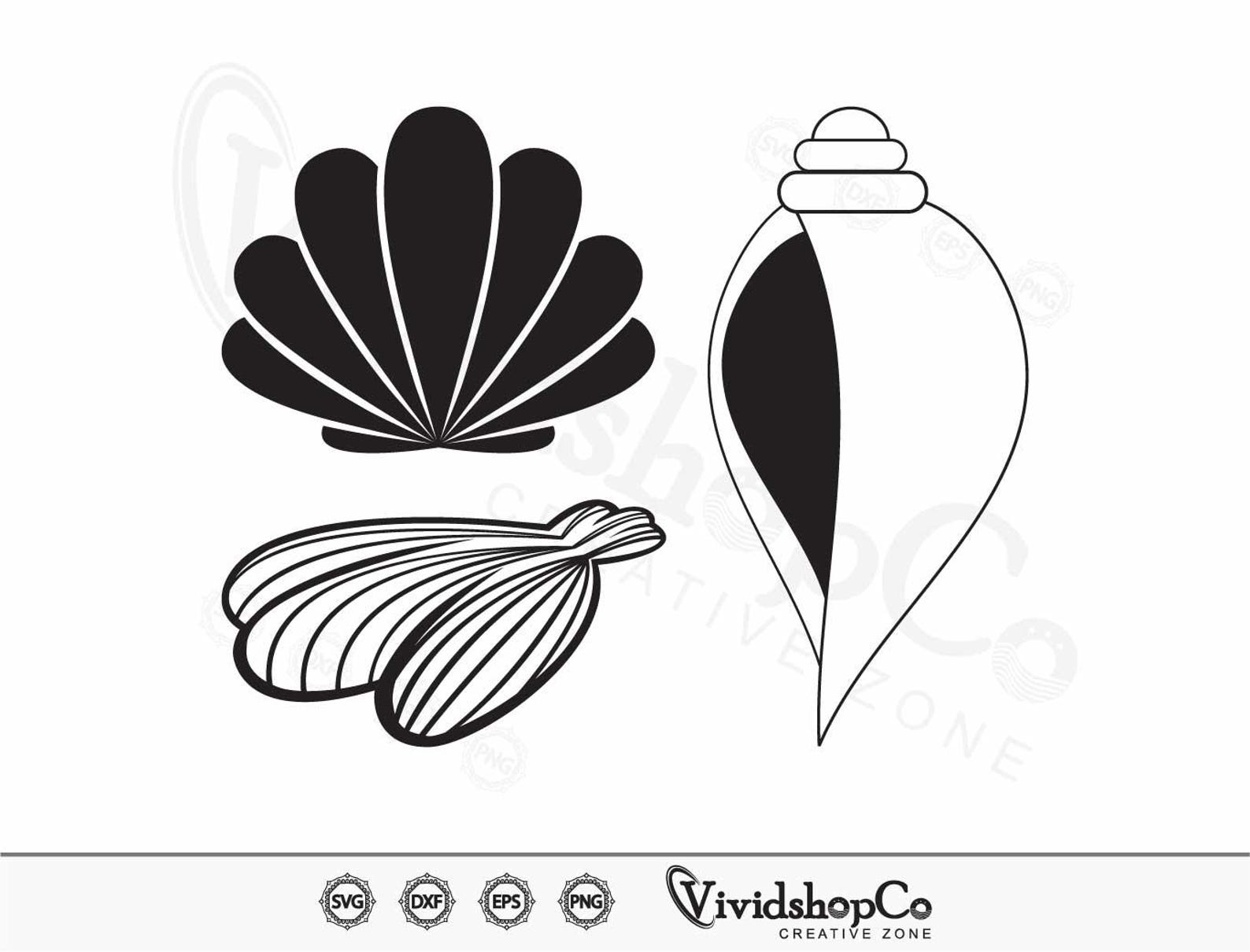 Seashell SVG, Sea Shells Svg, Clam Svg, Beach Svg, Ocean Svg, Shell Svg ...