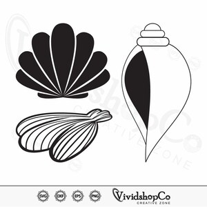 Seashell SVG, Sea Shells Svg, Clam Svg, Beach Svg, Ocean Svg, Shell Svg ...