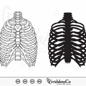 Rib Cage SVG, Skeleton Rib Cage Svg, Skeleton Svg, Human Ribs Svg ...