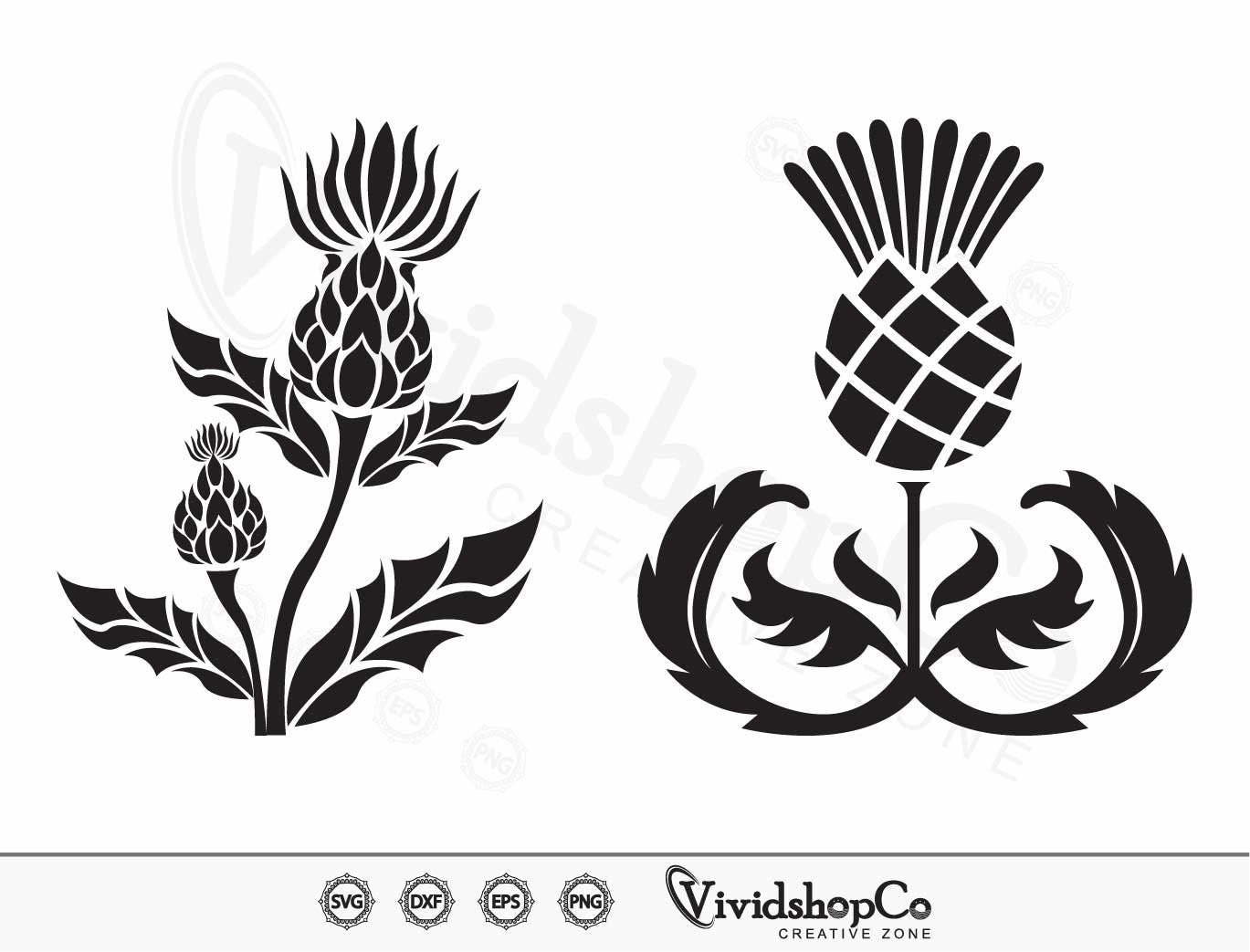 Cardo escocés SVG Cardo svg Imágenes prediseñadas de cardo - Etsy México