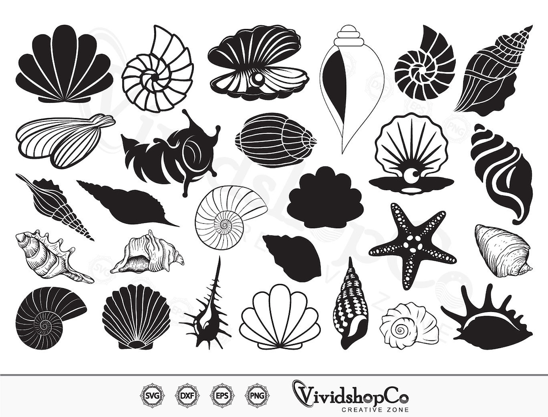 Seashell SVG, Sea Shells Svg, Clam Svg, Beach Svg, Ocean Svg, Shell Svg ...