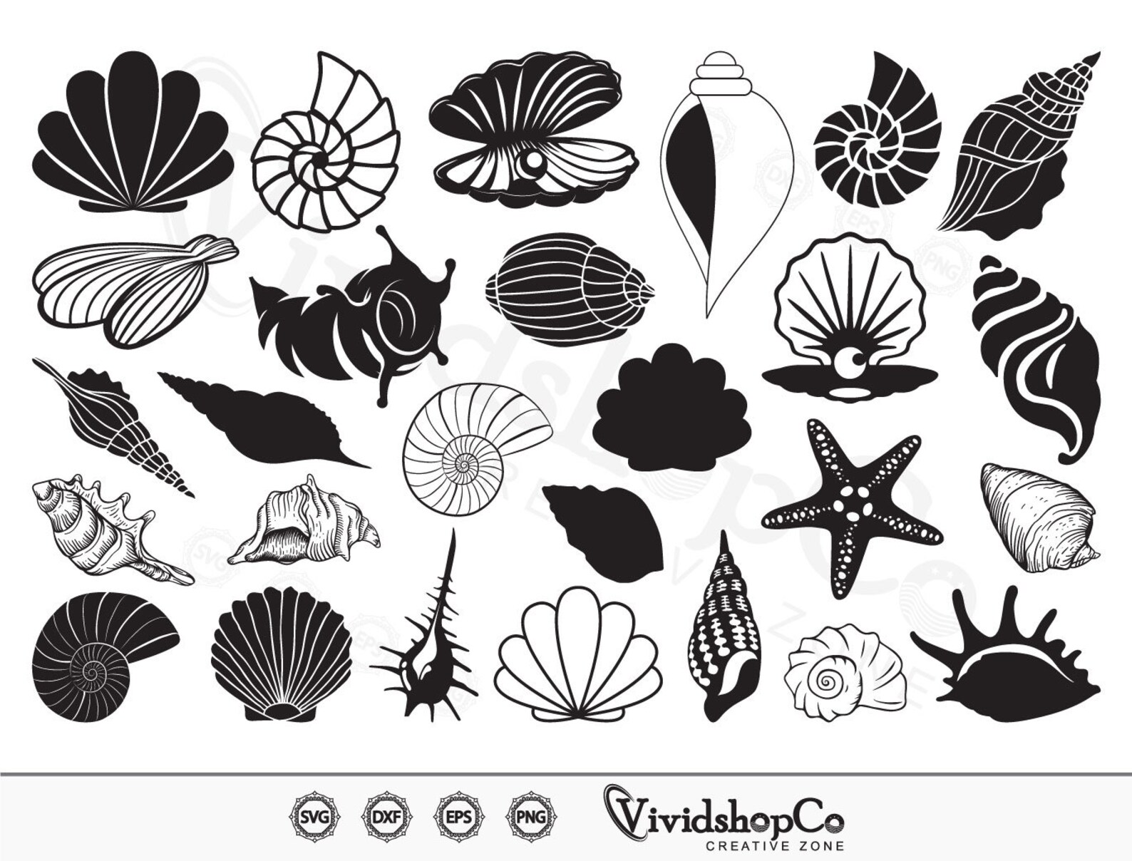 Seashell SVG Sea Shells Svg Clam Svg Beach Svg Ocean Svg - Etsy Canada