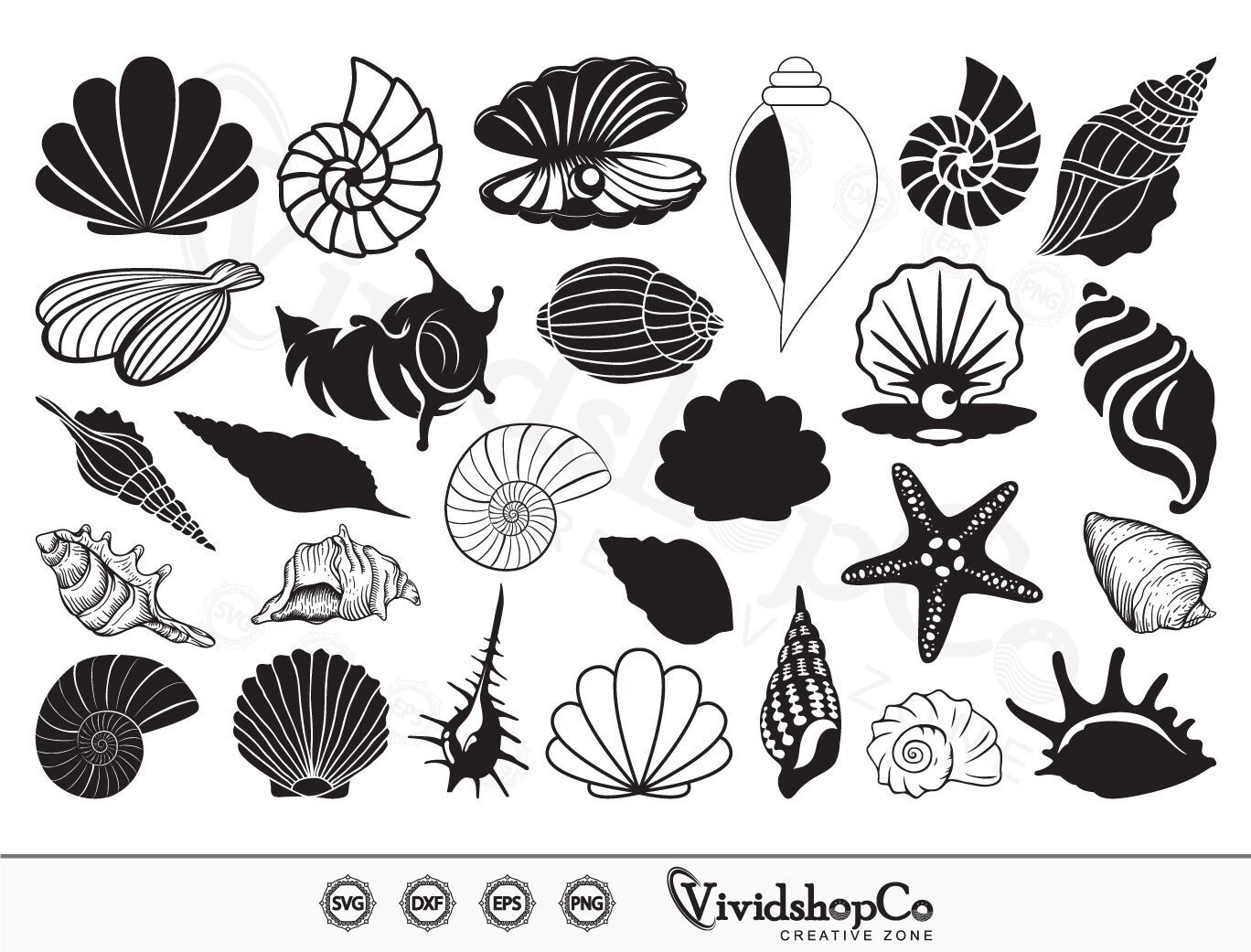 Seashell SVG Sea Shells Svg Clam Svg Beach Svg Ocean Svg - Etsy Australia