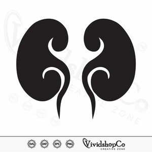Kidney SVG, Kidney Anatomy Svg, Disease Svg, Clipart, Cut Files for ...