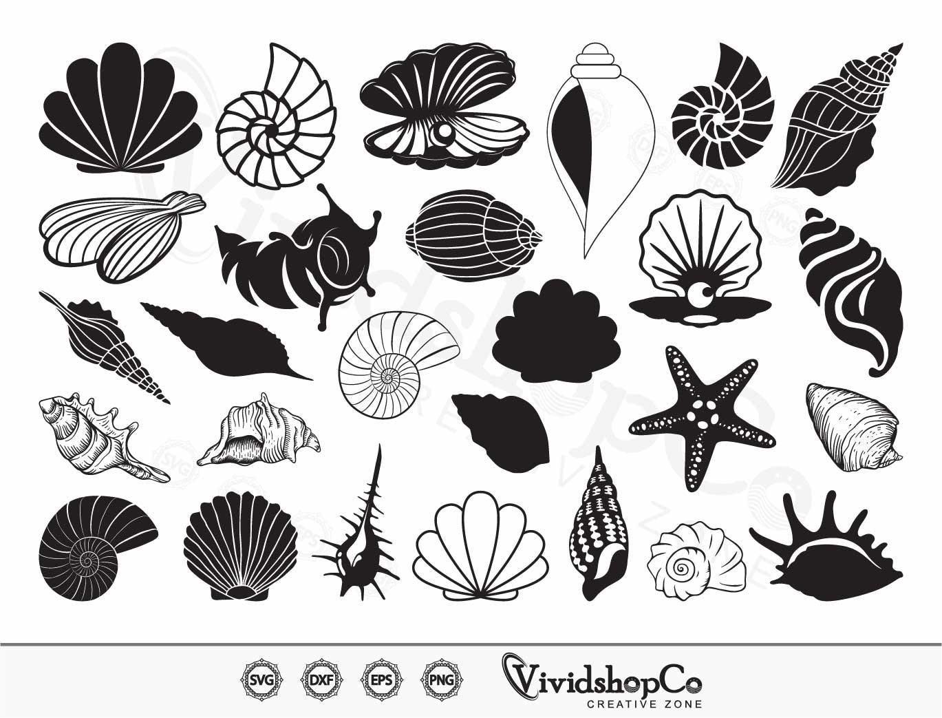 Seashell SVG, Sea Shells Svg, Clam Svg, Beach Svg, Ocean Svg, Shell Svg ...