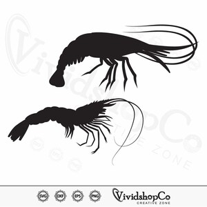 Shrimp SVG, Boiled Shrimp Svg, Prawn Svg, Seafood Svg, Clipart, Cut ...