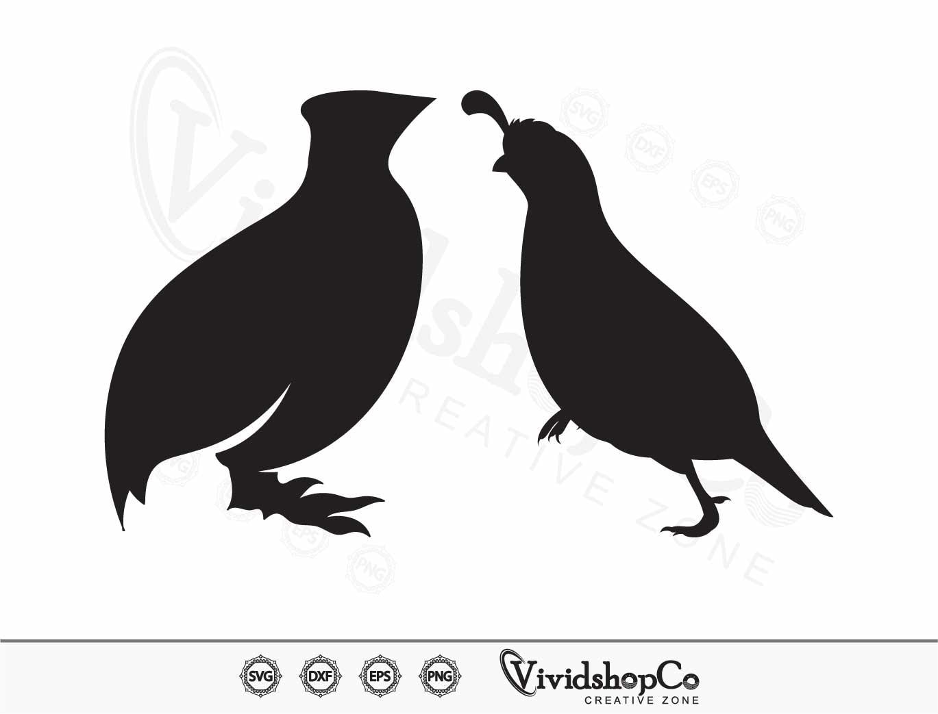 Quail SVG, Quail Bird Svg, Clipart, Cut Files for Silhouette, Files for ...