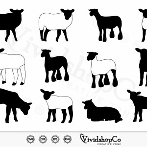 Show Lamb #2 SVG, Market Lamb Svg, Sheep Svg, Show Sheep Svg, Clipart ...
