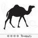 Camel SVG, Animal Svg, Clipart, Cut Files for Silhouette, Files for ...