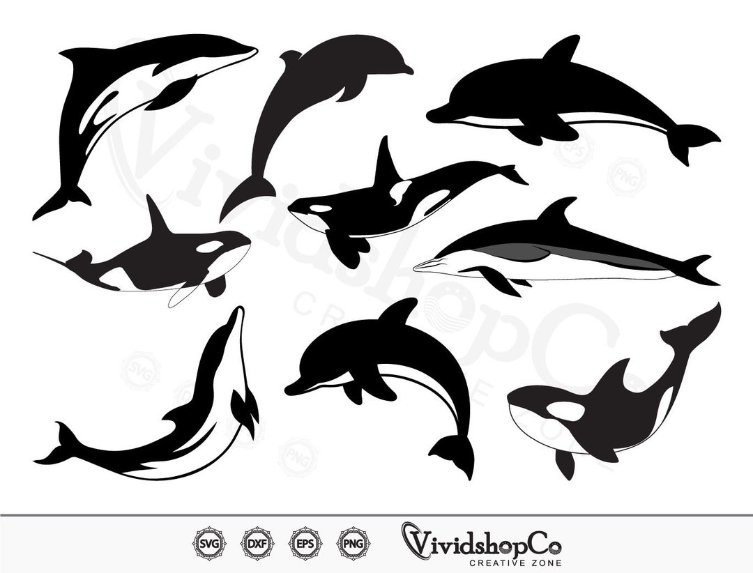 Dolphin Svg, Sea Animals Svg, Dolphin Clipart, Dolphin Cut Files for ...