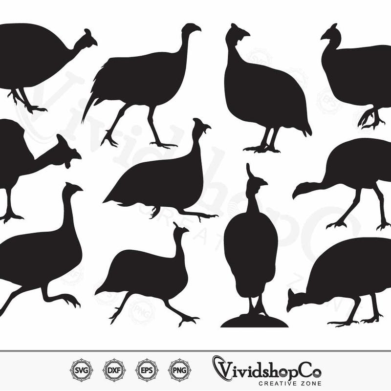 Guinea Fowl Art Decor - Etsy