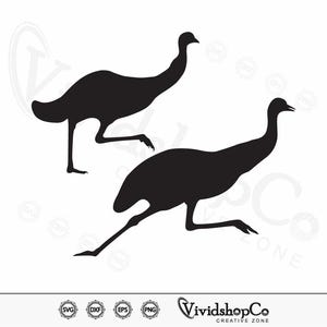 Emu SVG, Vogel svg, Tier svg, Clipart, Schnittdateien für Silhouette ...