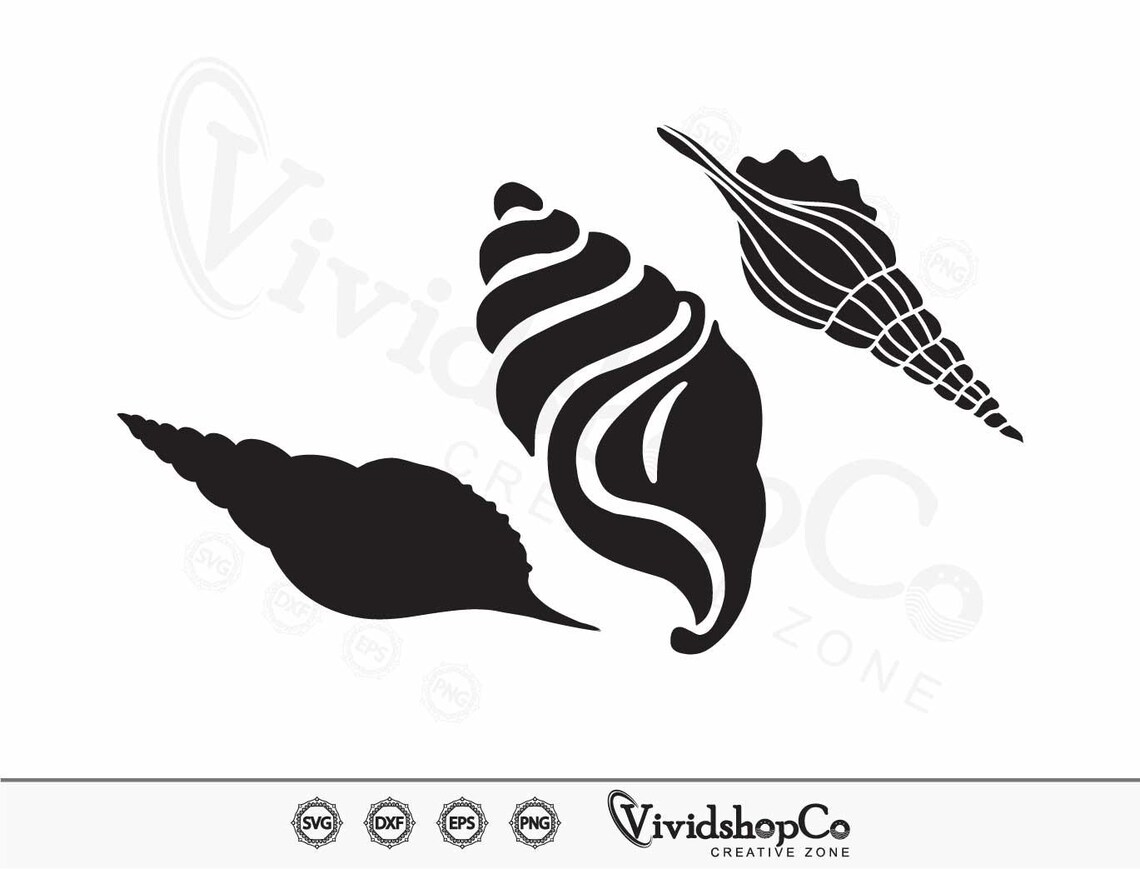 Seashell SVG, Sea Shells Svg, Clam Svg, Beach Svg, Ocean Svg, Shell Svg ...