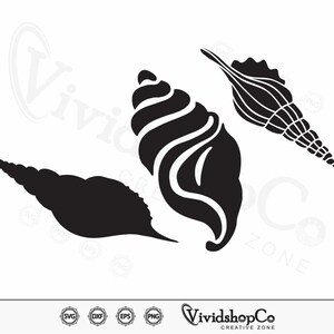 Seashell SVG, Sea Shells Svg, Clam Svg, Beach Svg, Ocean Svg, Shell Svg ...
