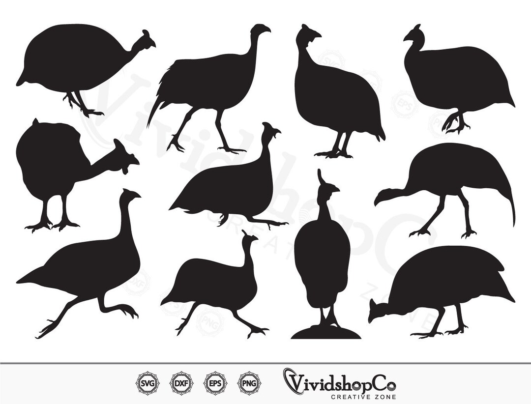 Guinea Fowl SVG, Guinea Svg, Fowl Svg, Bird Svg, Clipart, Cut Files for ...