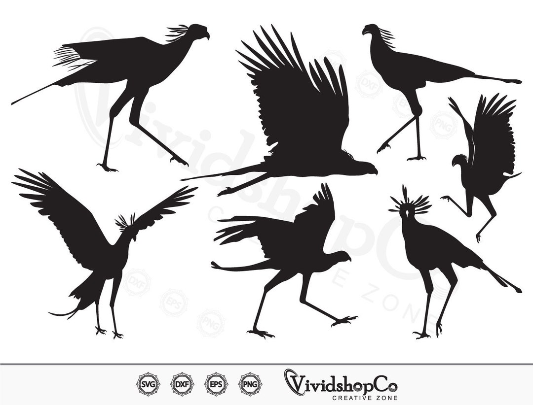 Secretary Bird SVG, Bird Svg, Clipart, Cut Files for Silhouette, Files ...