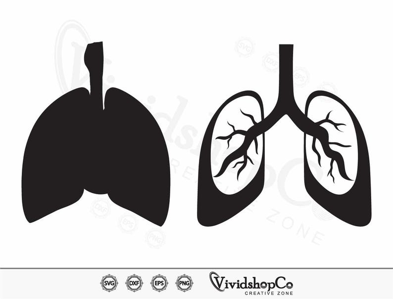 Lung SVG, Medical Image Svg, Human Lung Svg, Bronchial Svg, Clipart ...