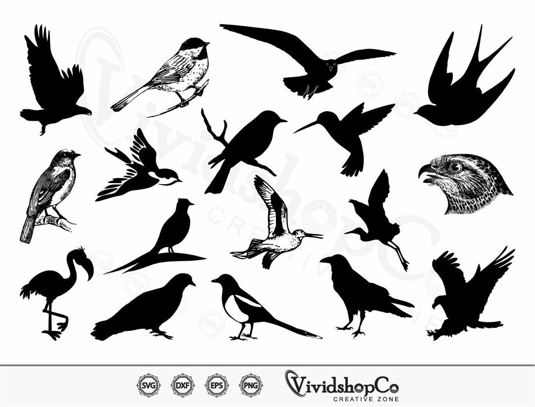 Bird Svg, Bird Clipart, Bird Cut Files for Silhouette, Files for Cricut ...