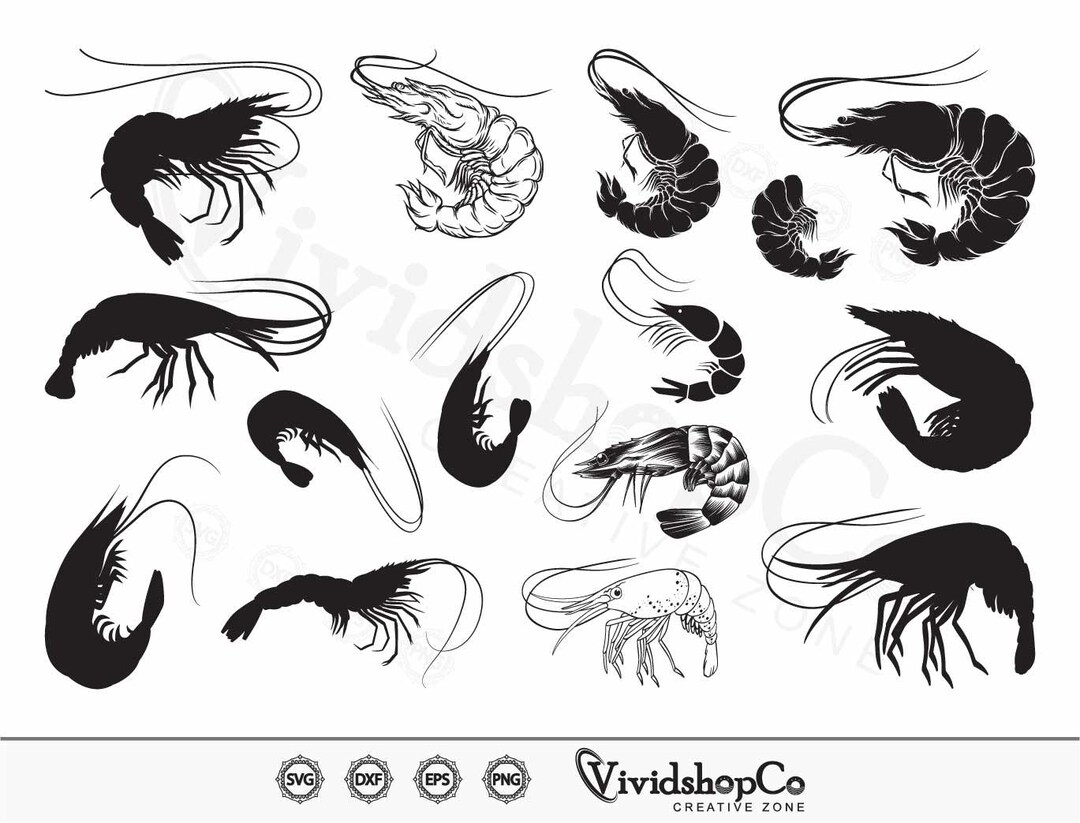 Shrimp SVG, Boiled Shrimp Svg, Prawn Svg, Seafood Svg, Clipart, Cut ...