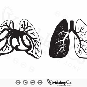 Lung SVG, Medical Image Svg, Human Lung Svg, Bronchial Svg, Clipart ...