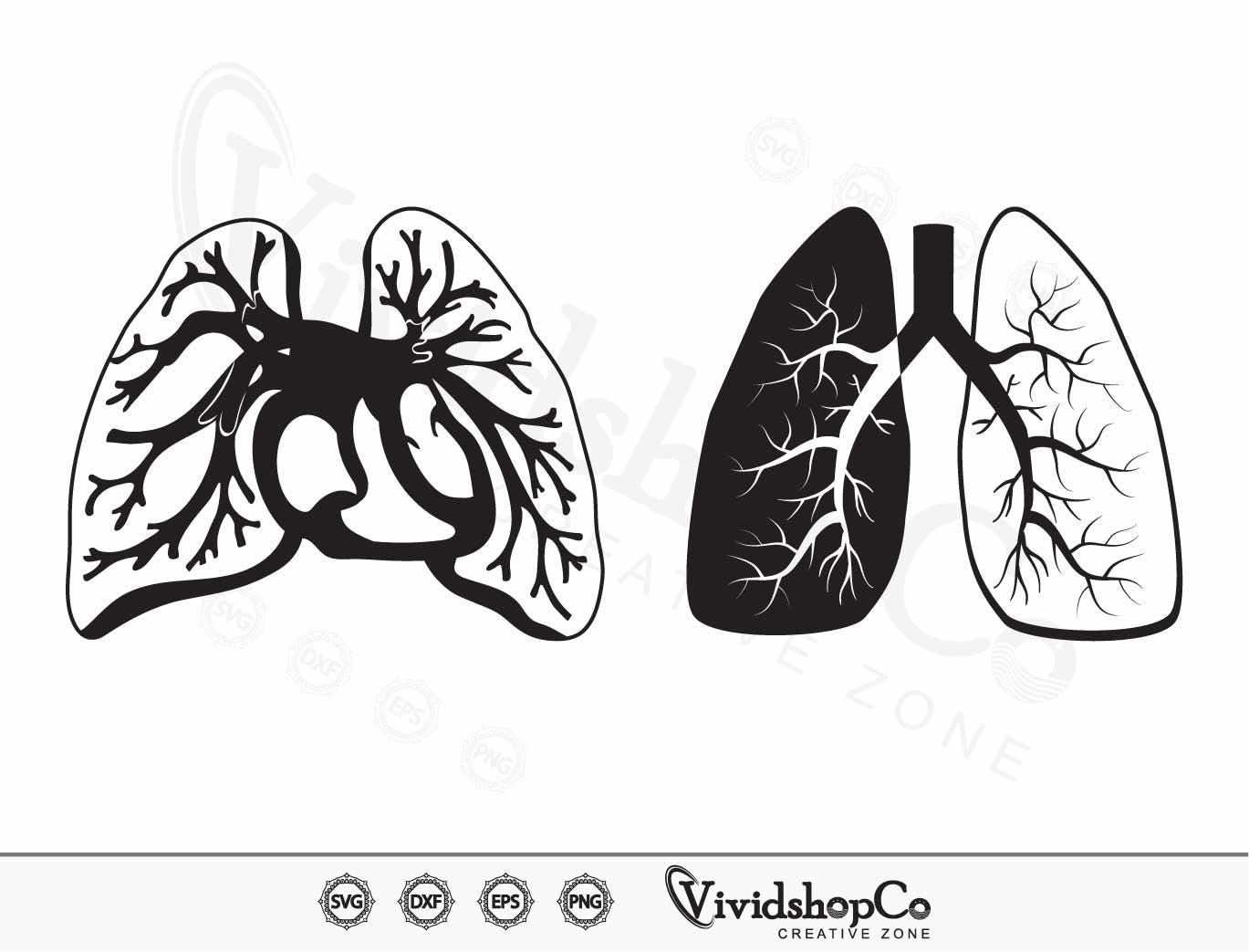 Lung SVG, Medical Image Svg, Human Lung Svg, Bronchial Svg, Clipart ...
