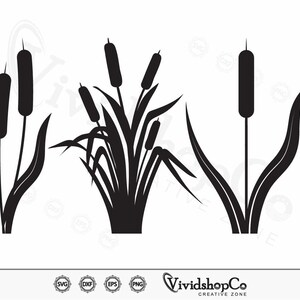 Cattail SVG, Grass Svg, Bulrush Plant Svg, Cattail Flower Svg, Clipart ...