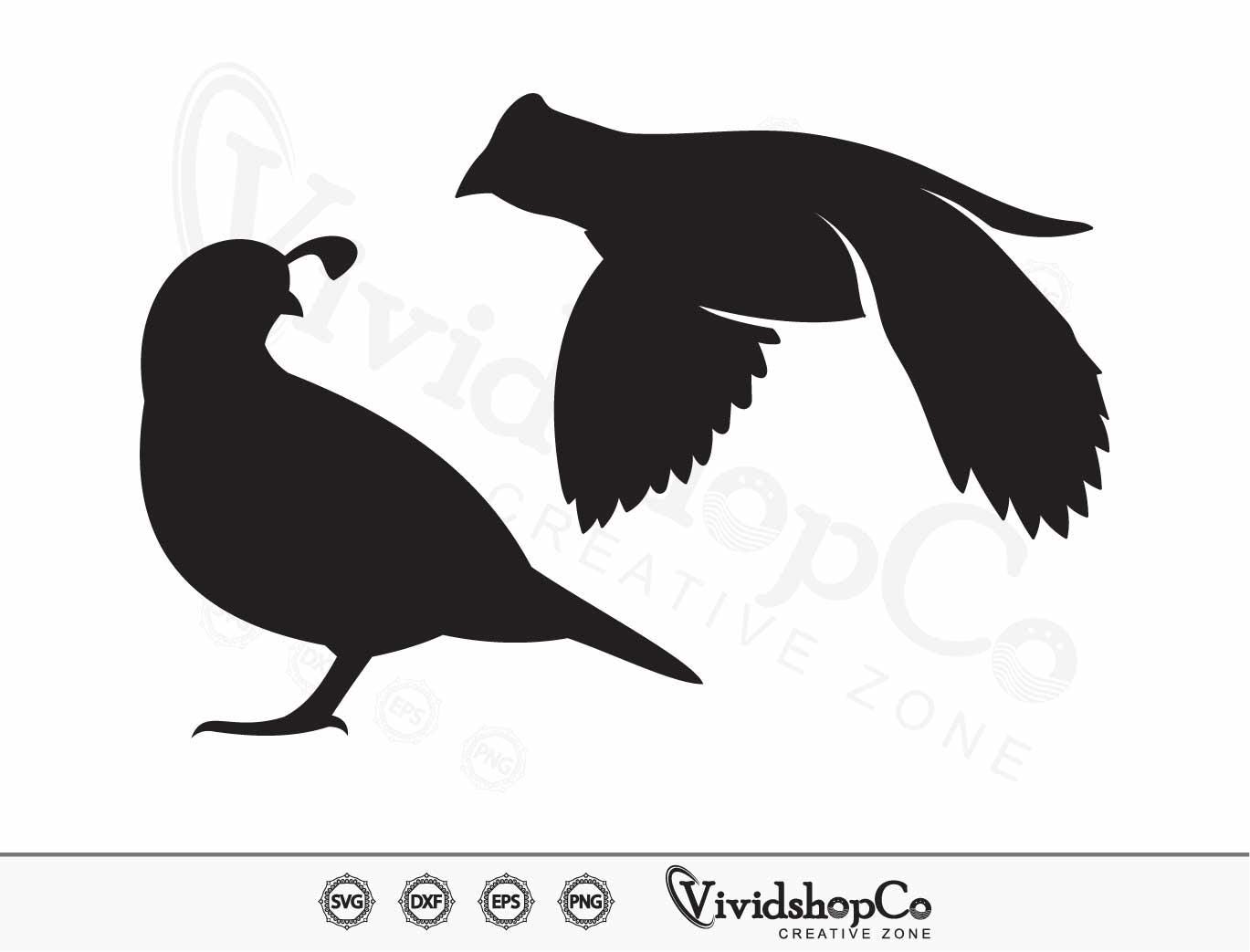 Quail SVG, Quail Bird Svg, Clipart, Cut Files for Silhouette, Files for ...