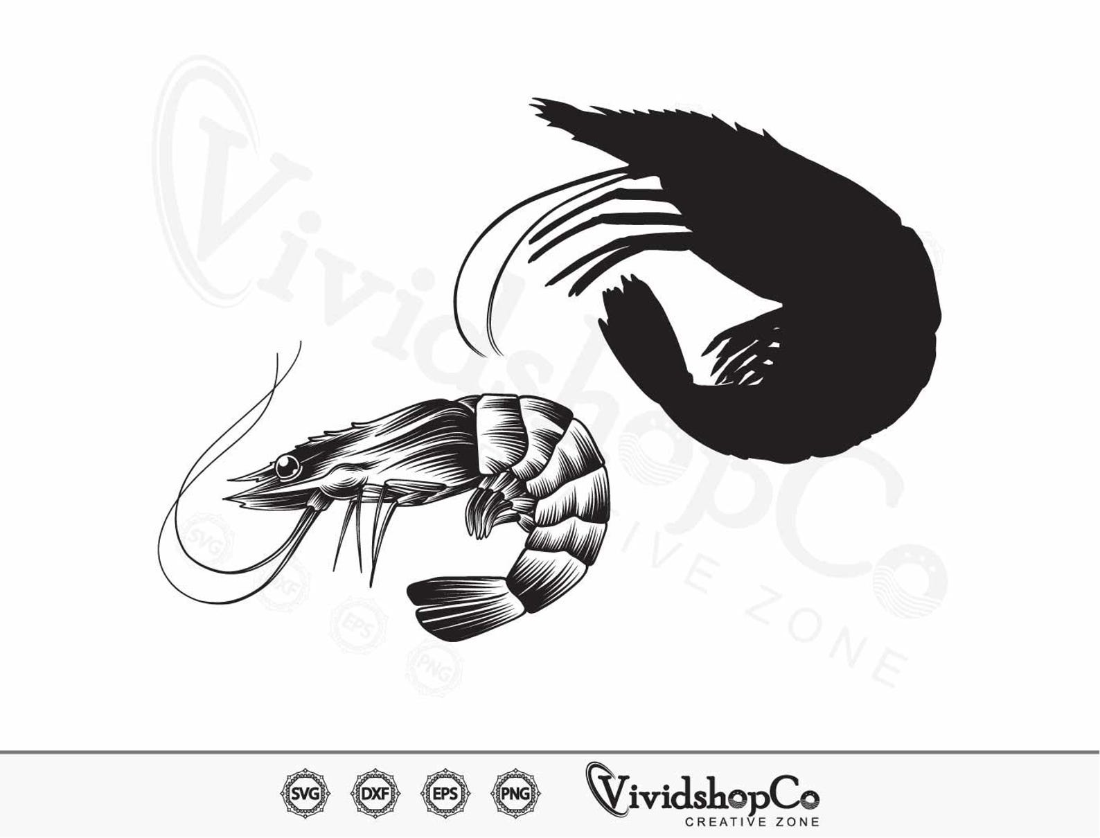 Shrimp SVG, Boiled Shrimp Svg, Prawn Svg, Seafood Svg, Clipart, Cut ...