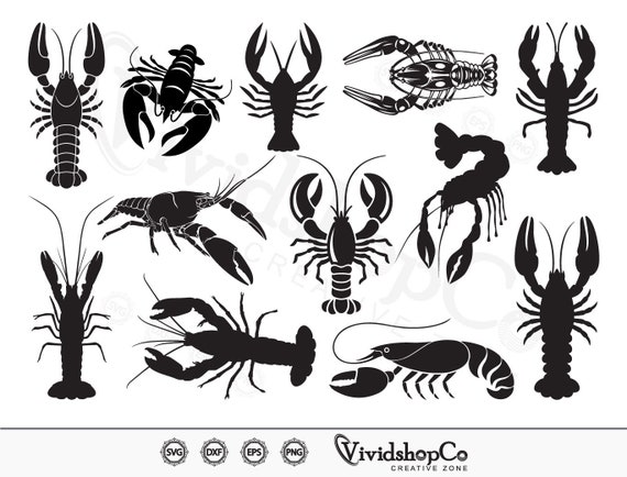 Crawfish Clipart Outline