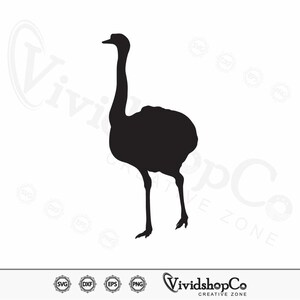 Emu SVG, Vogel svg, Tier svg, Clipart, Schnittdateien für Silhouette ...
