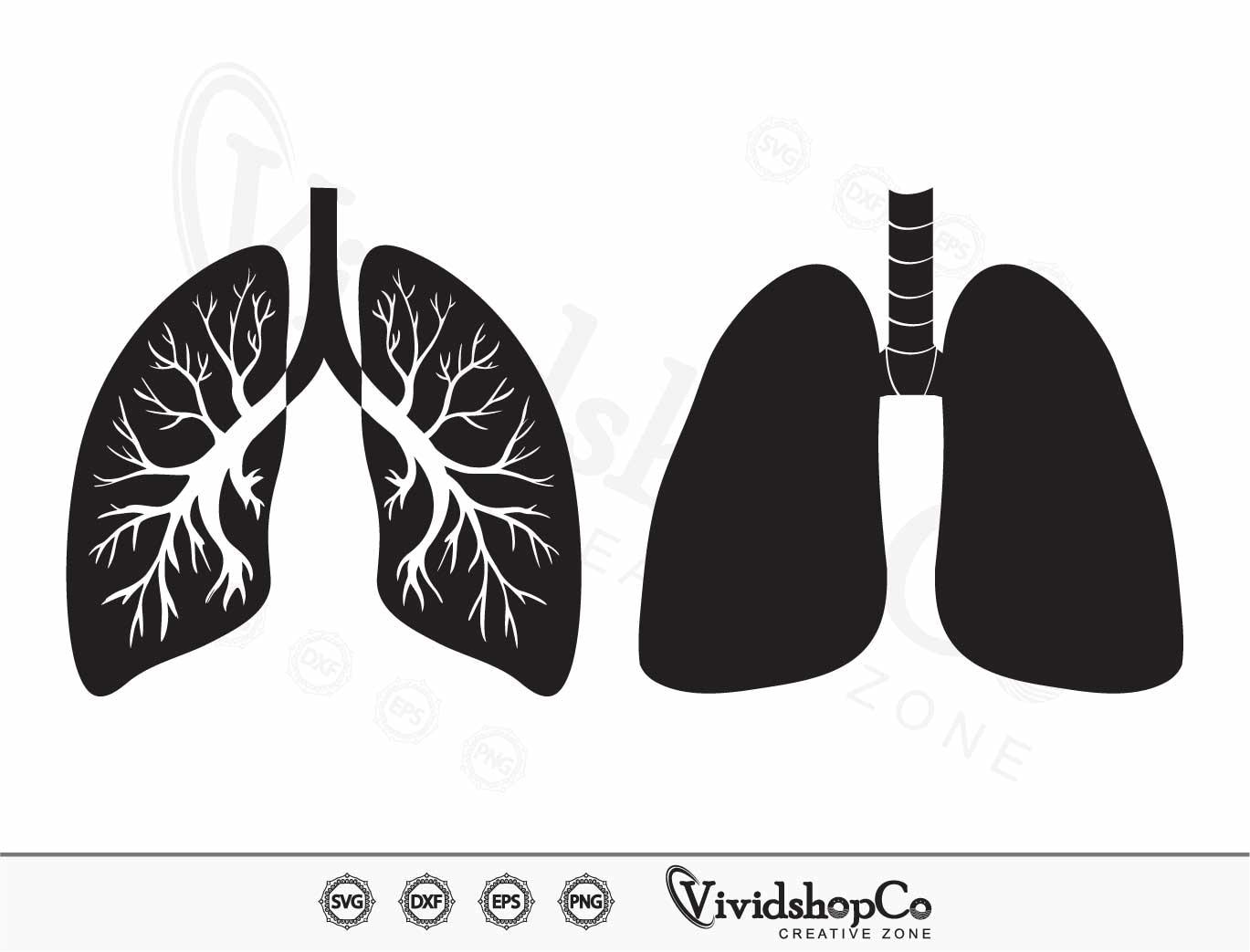 Lung SVG, Medical Image Svg, Human Lung Svg, Bronchial Svg, Clipart ...