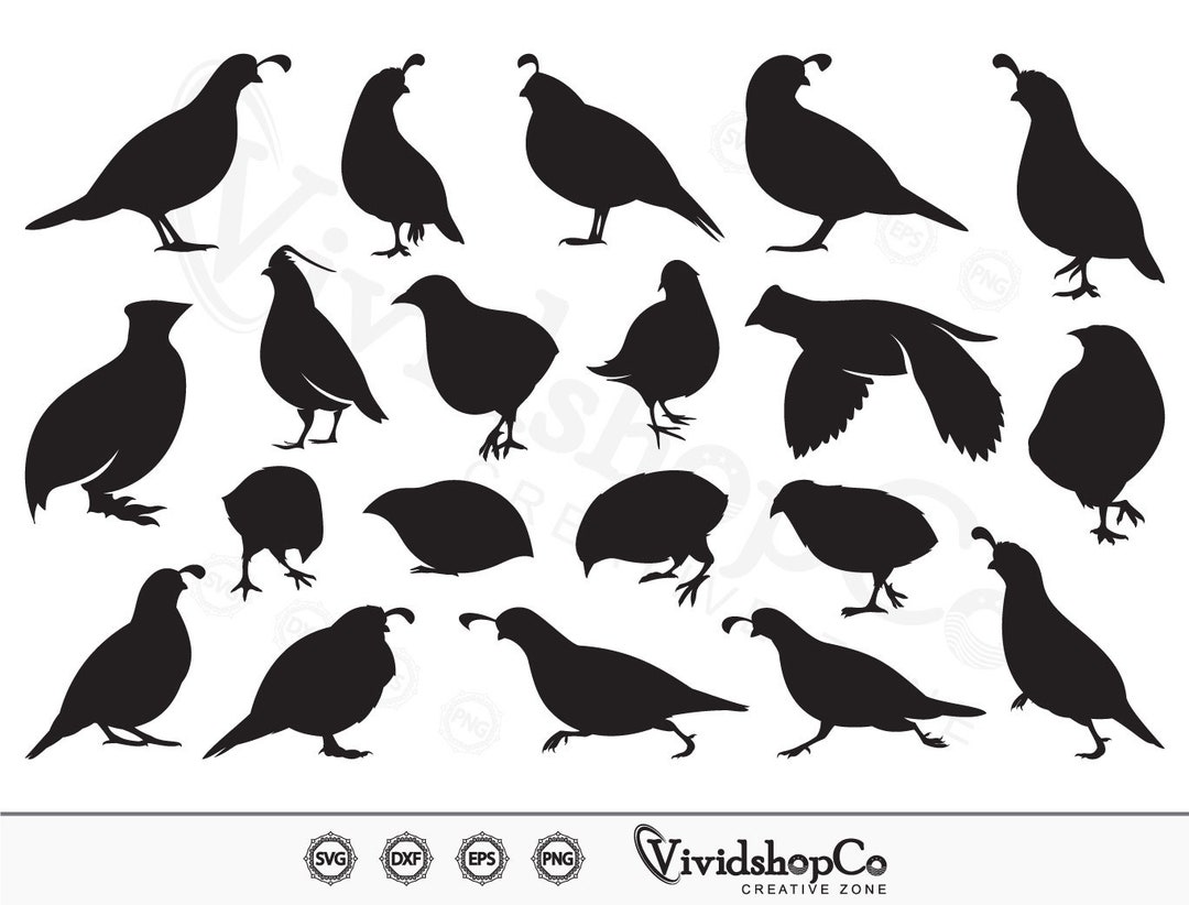Quail SVG, Quail Bird Svg, Clipart, Cut Files for Silhouette, Files for ...