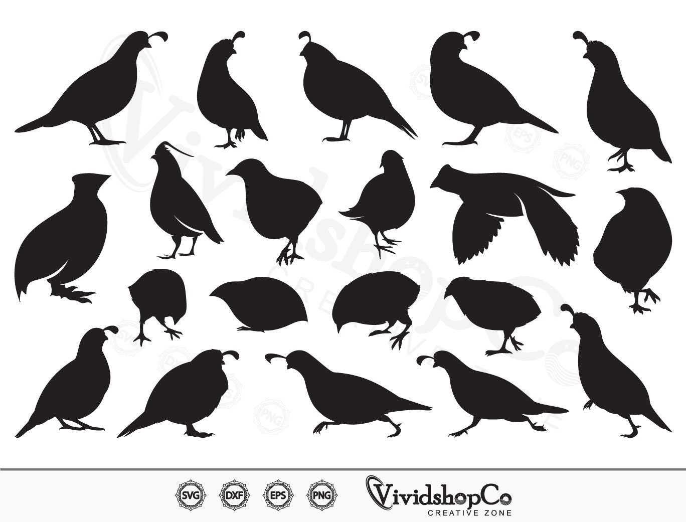 Quail SVG Quail Bird Svg Clipart Cut Files for Silhouette - Etsy Australia