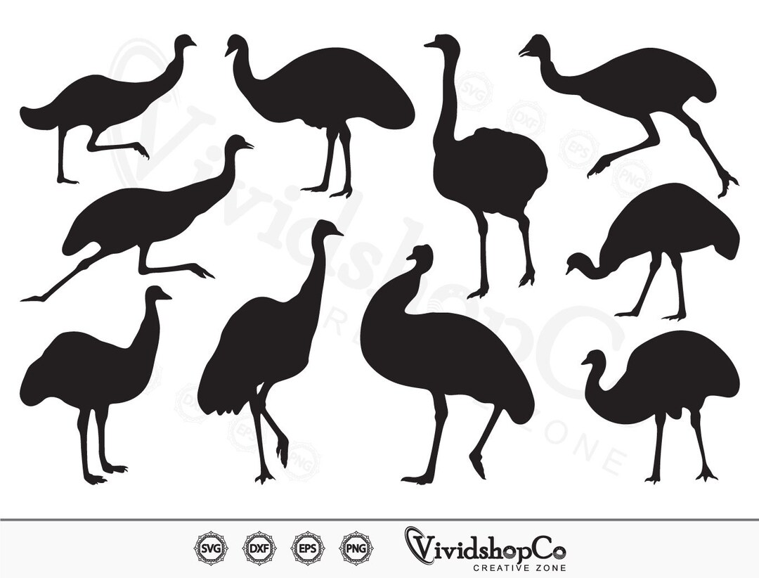 Emu SVG, Bird Svg, Animal Svg, Clipart, Cut Files for Silhouette, Files ...