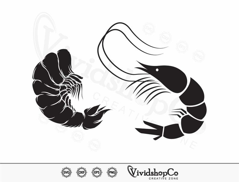 Shrimp SVG, Boiled Shrimp Svg, Prawn Svg, Seafood Svg, Clipart, Cut ...