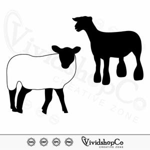 Show Lamb #2 SVG, Market Lamb Svg, Sheep Svg, Show Sheep Svg, Clipart ...