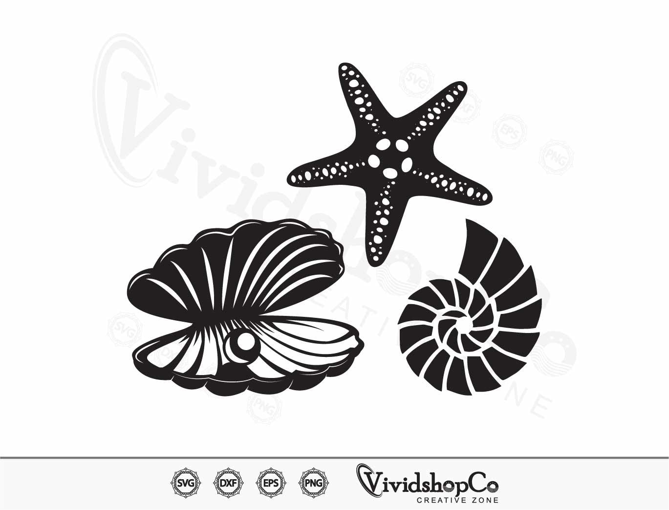 Seashell SVG, Sea Shells Svg, Clam Svg, Beach Svg, Ocean Svg, Shell Svg ...