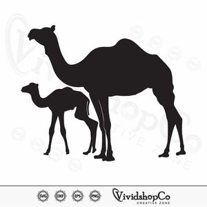Camel SVG, Animal Svg, Clipart, Cut Files for Silhouette, Files for ...