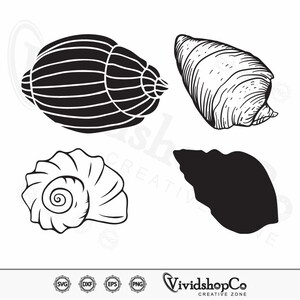 Seashell SVG, Sea Shells Svg, Clam Svg, Beach Svg, Ocean Svg, Shell Svg ...